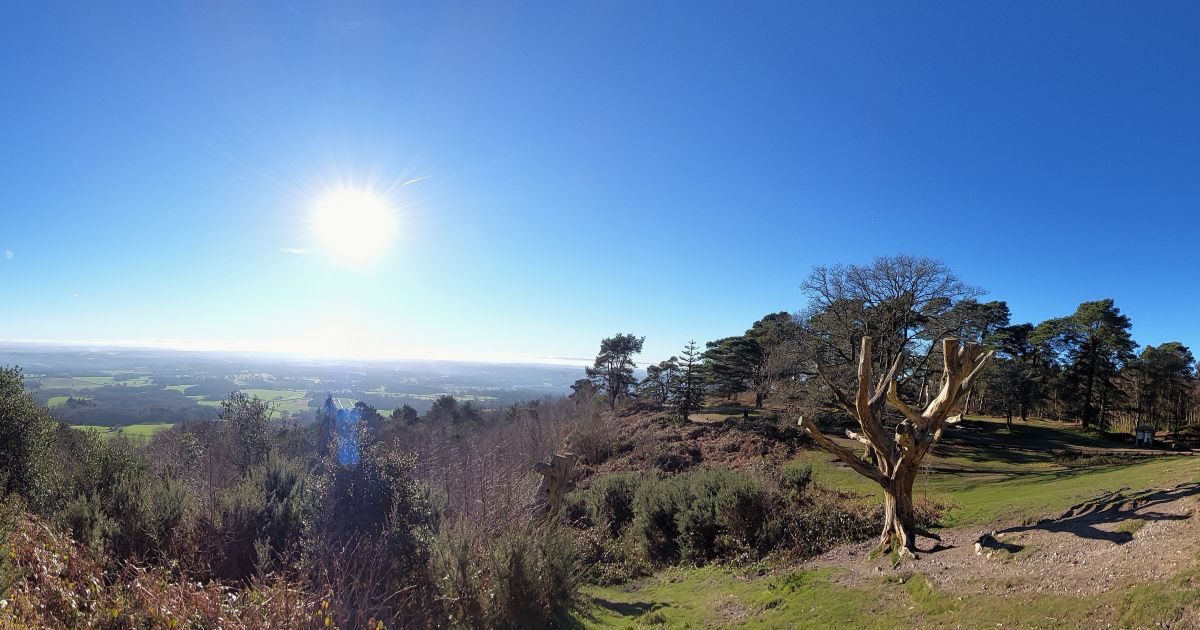 Time to Stop & Stare - From the Bottom to the Top of Leith Hill - Ramblers